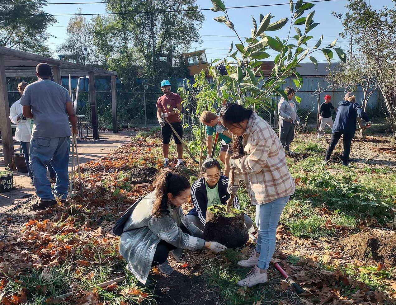 Get Involved – New Jersey Tree Foundation